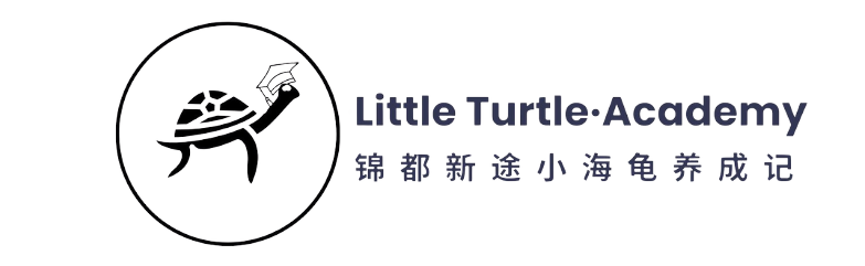 Little Turtle Academy by Jindu Xintu – 🐢Little Turtle Academy helps ...